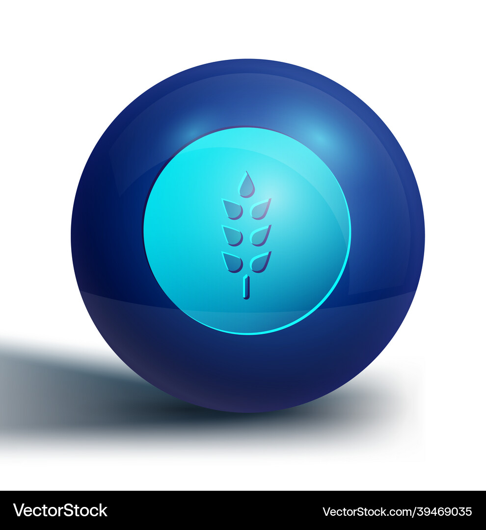 Blue cereals set with rice wheat corn oats rye Vector Image