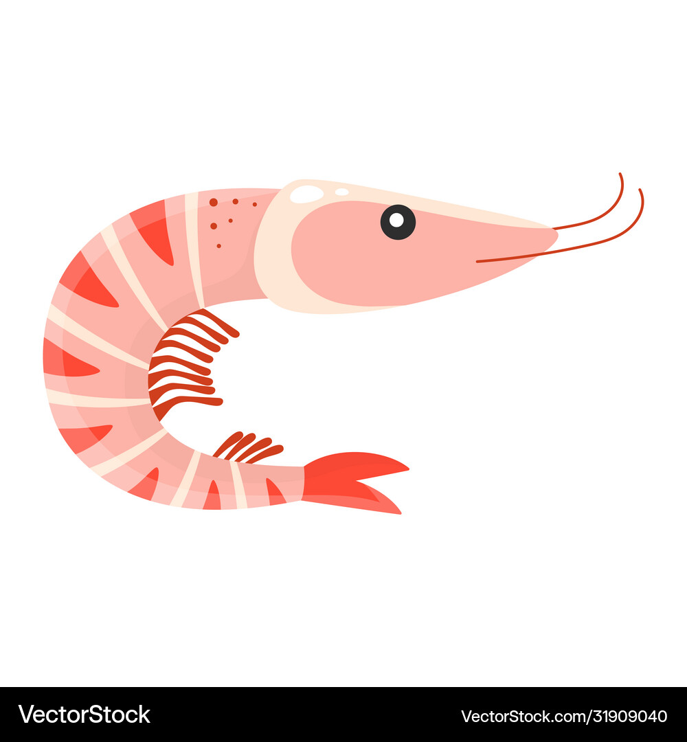 Cartoon shrimp isolated on white Royalty Free Vector Image