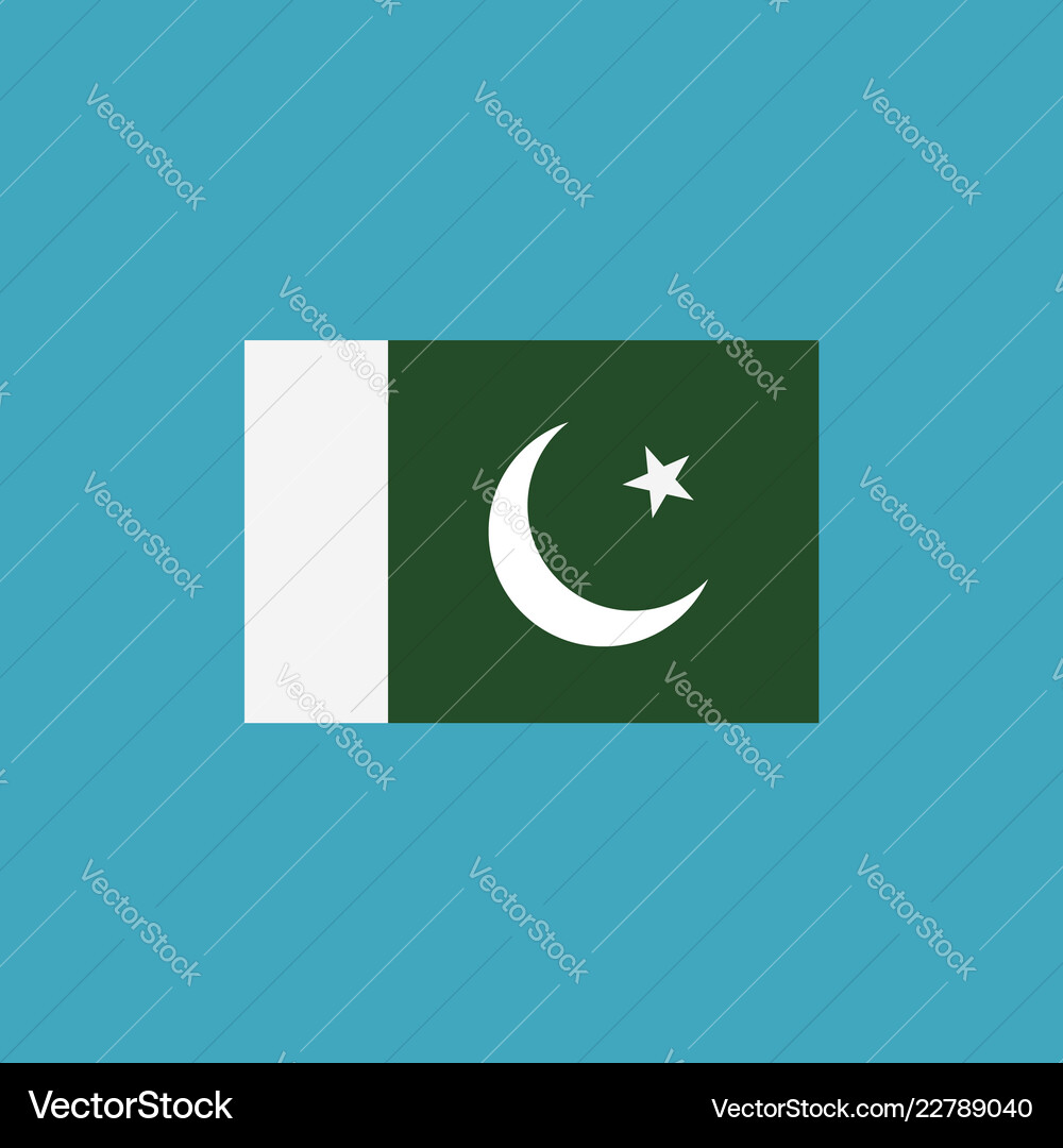 Pakistan flag icon in flat design Royalty Free Vector Image