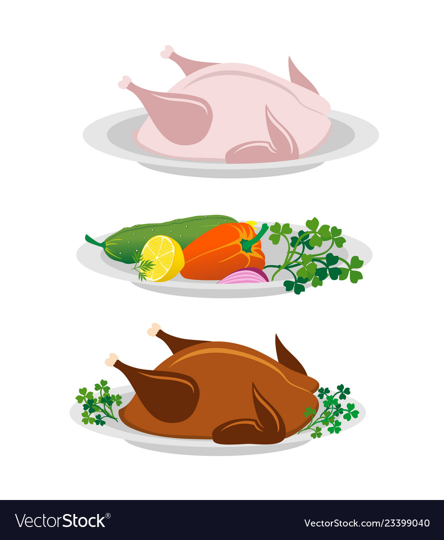 Raw chicken on a plate baked turkey on a plate Vector Image