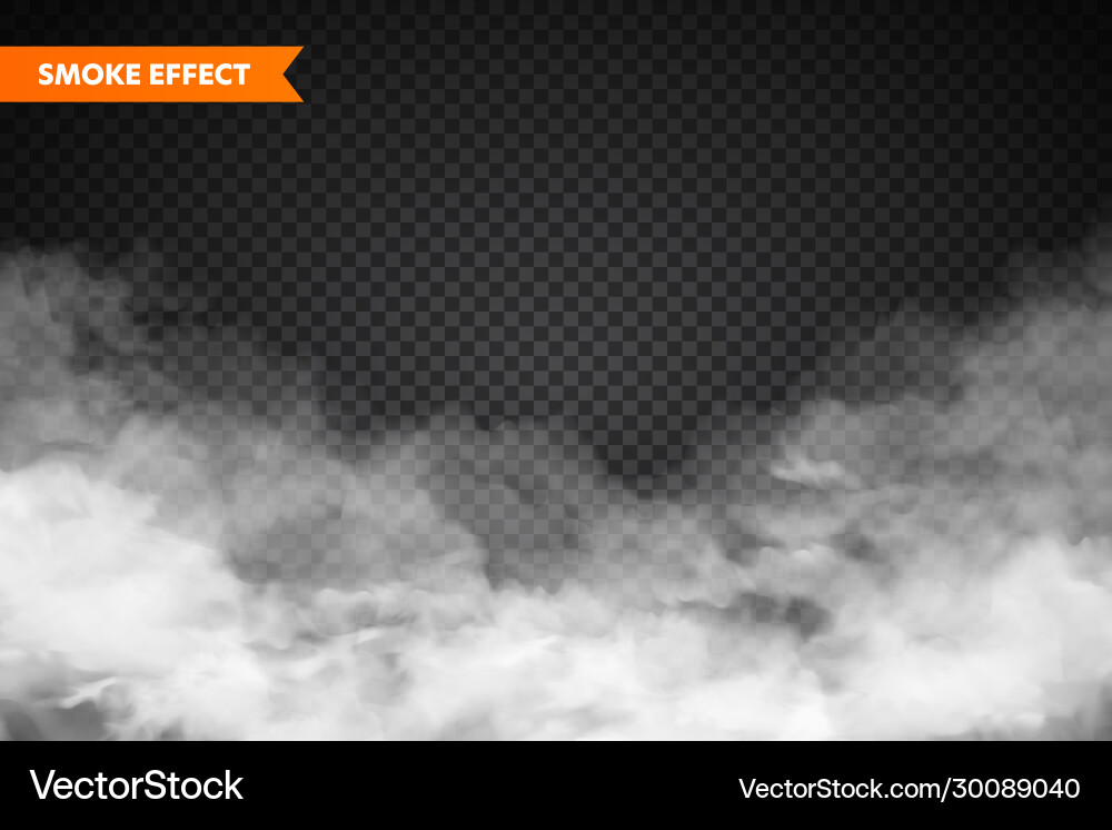 Realistic fog mist effect smoke isolated Vector Image