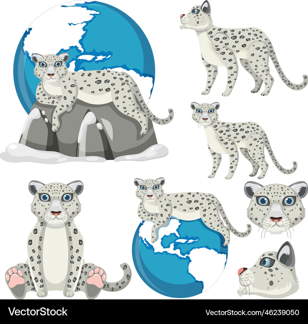 Set of mix snow leopard Royalty Free Vector Image