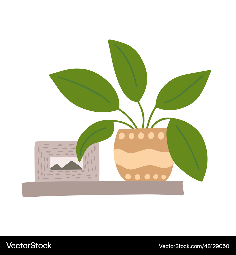 Shelf with home plant Royalty Free Vector Image