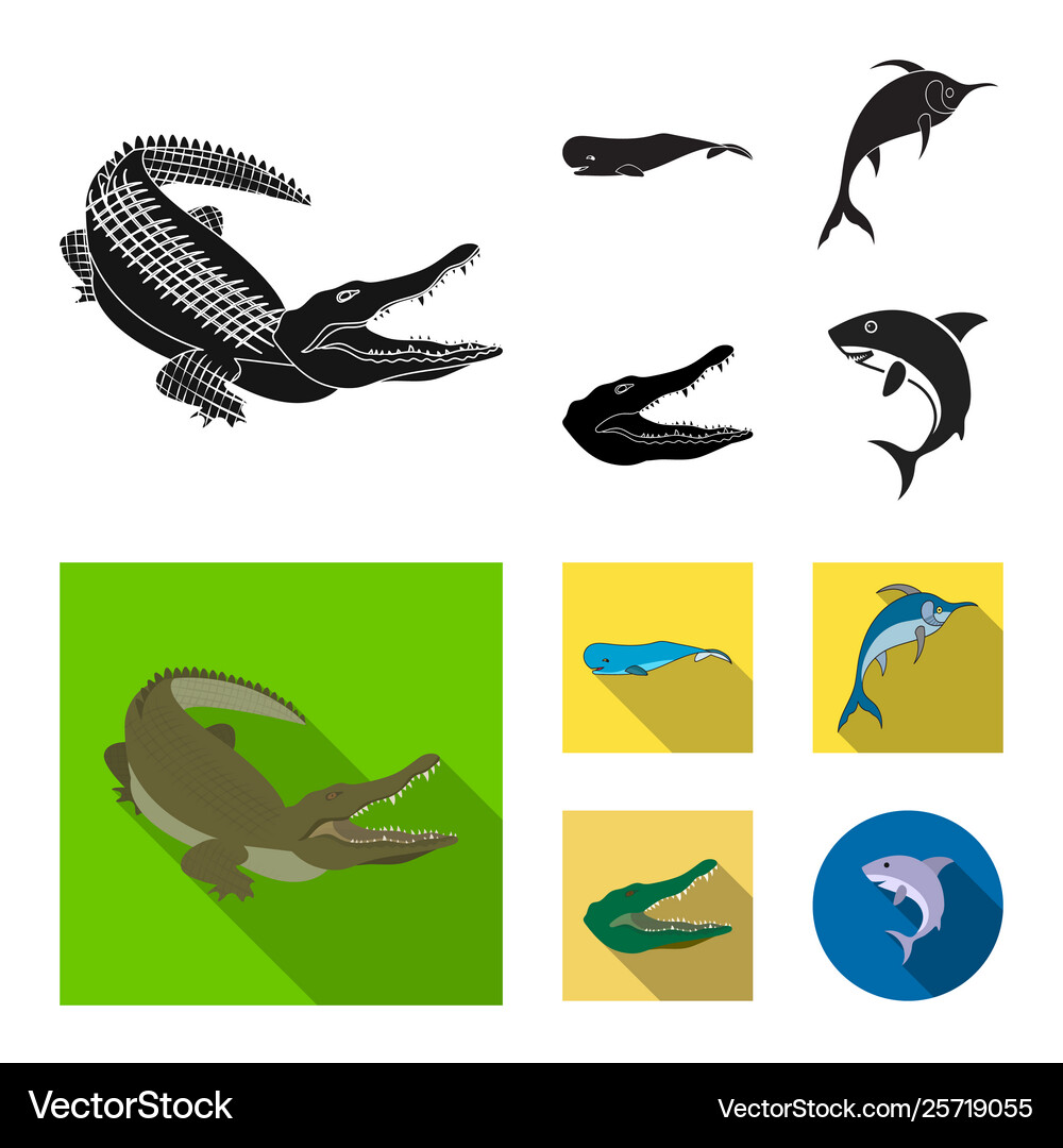 Isolated object sea and ocean icon collection Vector Image