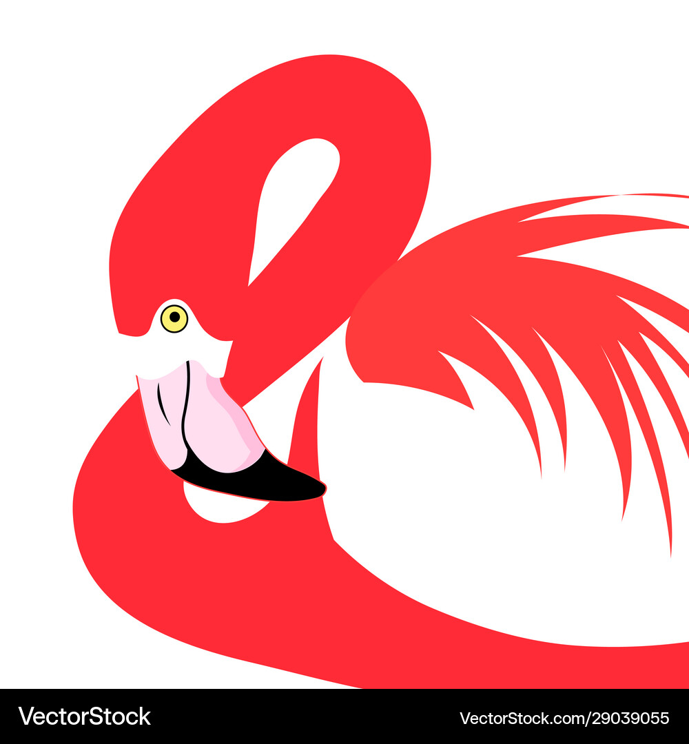 Portrait a red flamingo Royalty Free Vector Image