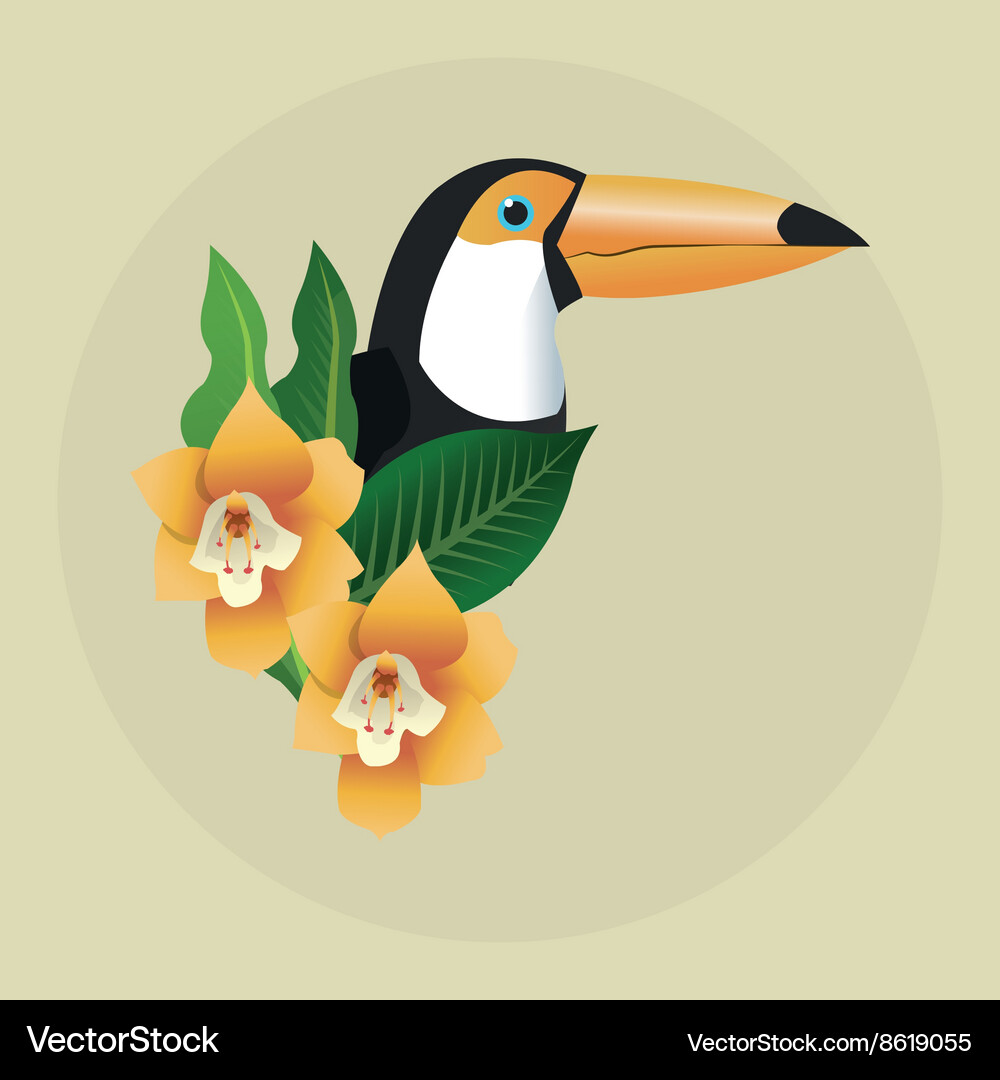 Tropical design bird concept nature icon Vector Image