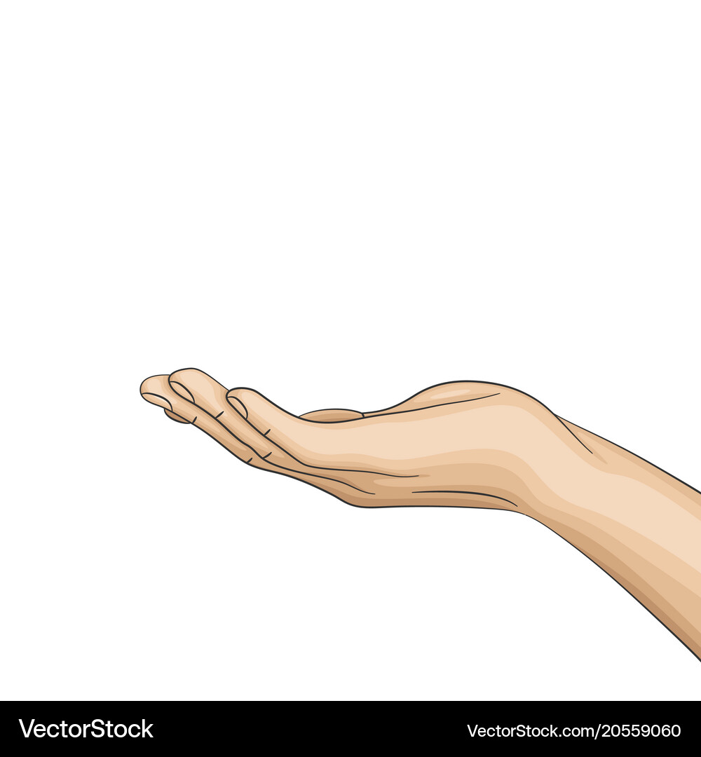 Hand turned the palm upward open Royalty Free Vector Image