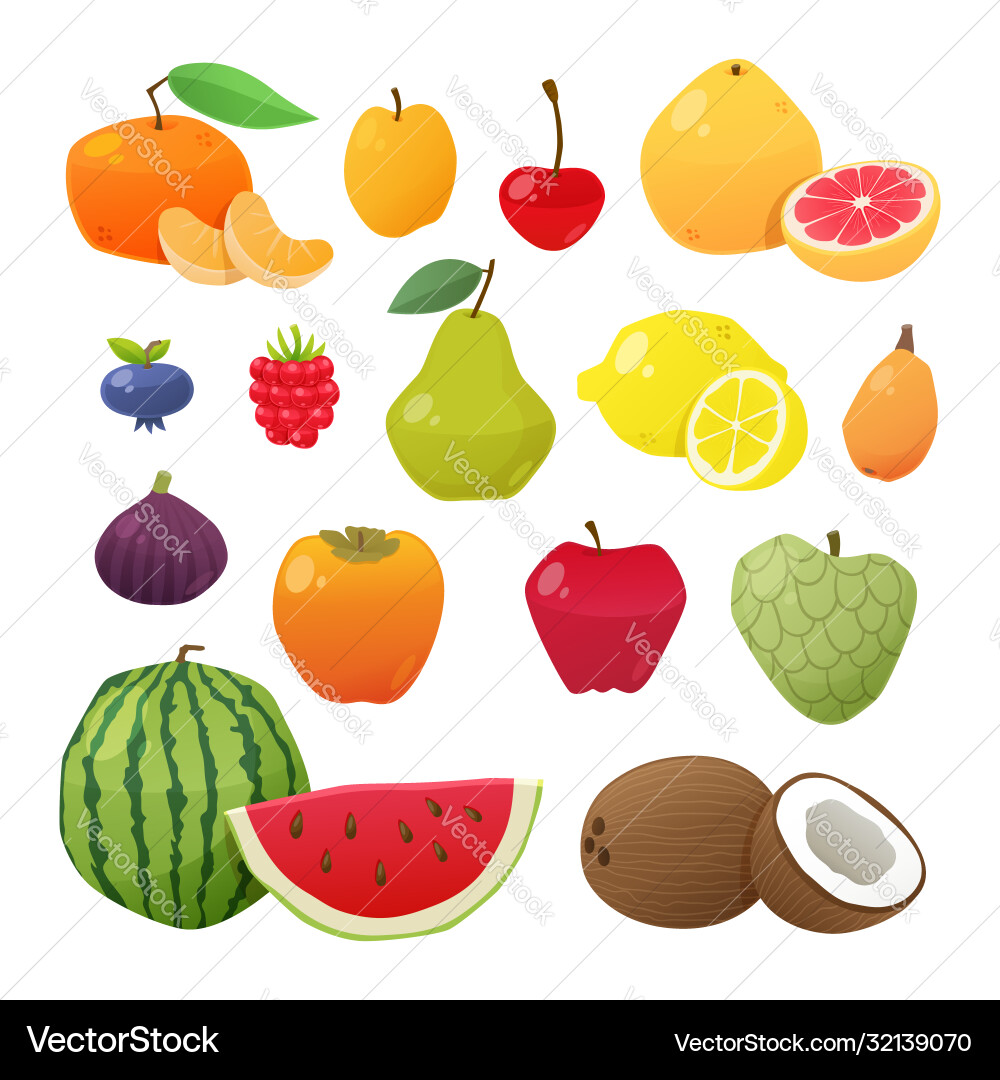Colorful fruits set Royalty Free Vector Image - VectorStock