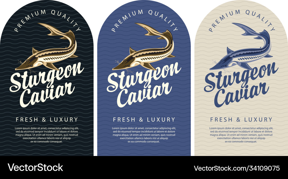 Labels for black caviar with sturgeon fish Vector Image