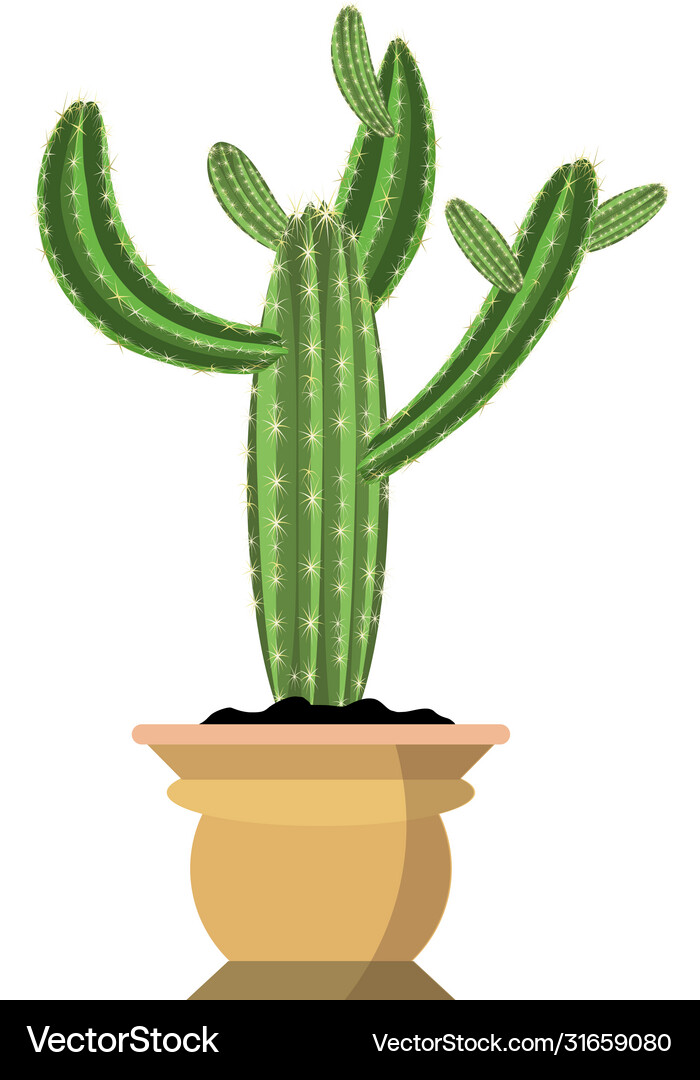 Huge green potted cactus plant Royalty Free Vector Image