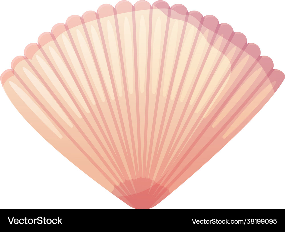 Pink scallop seashell beach clipartocean element Vector Image