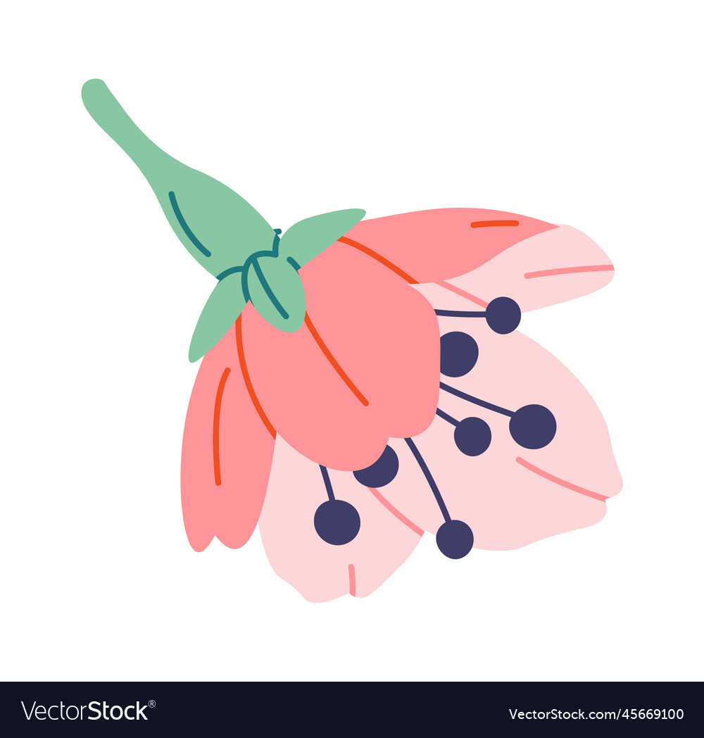 Cherry blossom flowers flat icon spring tree Vector Image