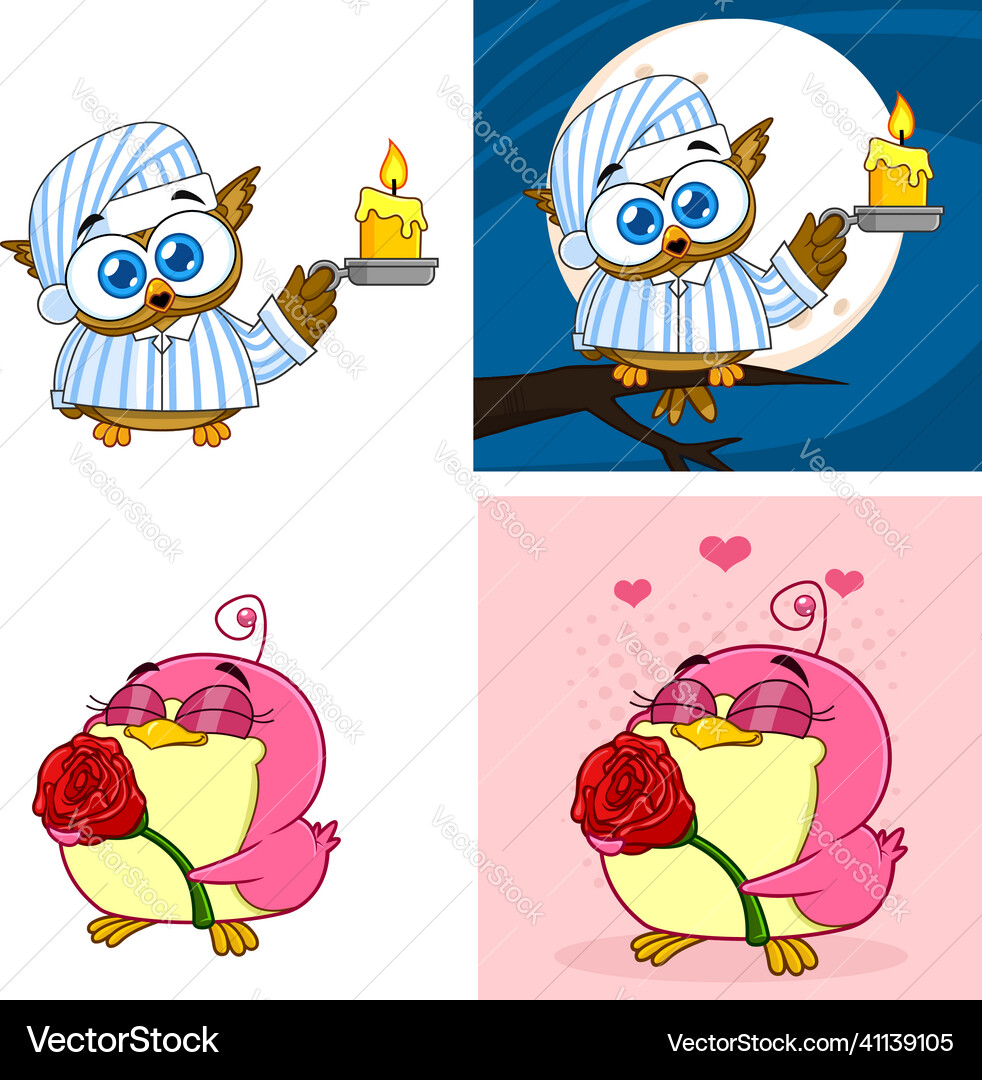 Cartoon birds characters collection set Royalty Free Vector