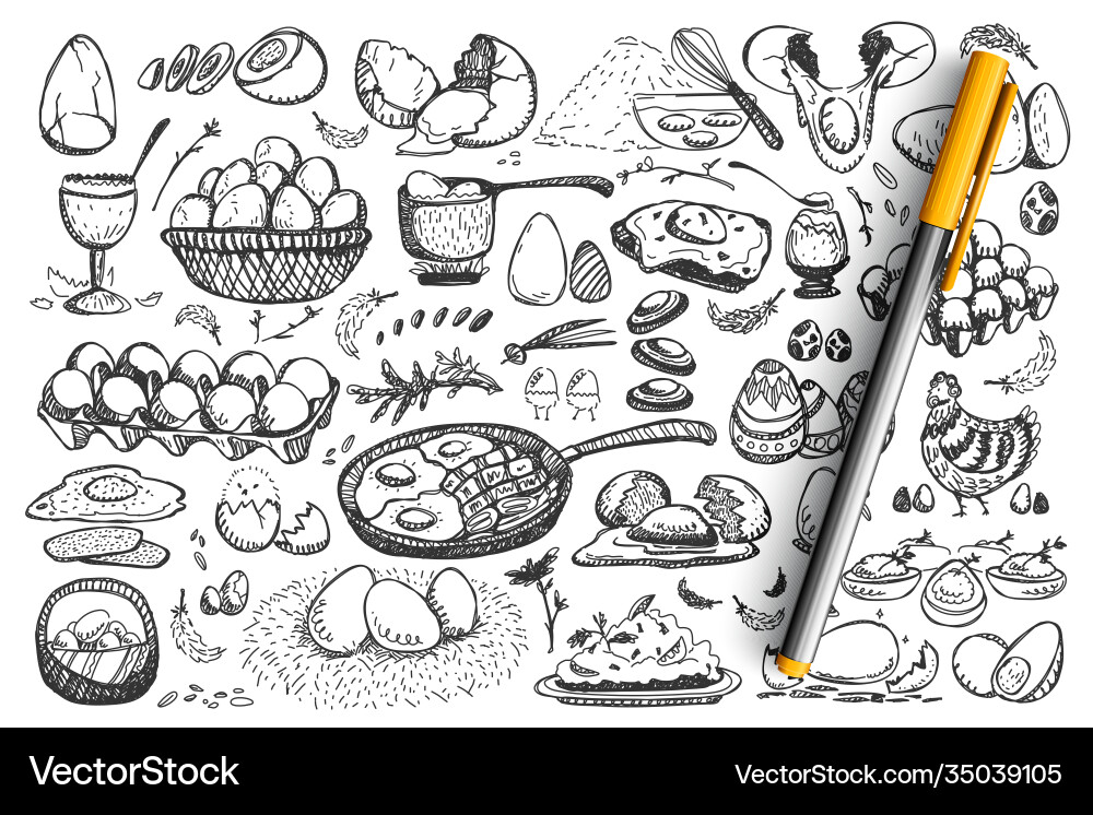 Chicken eggs doodle set collection Royalty Free Vector Image