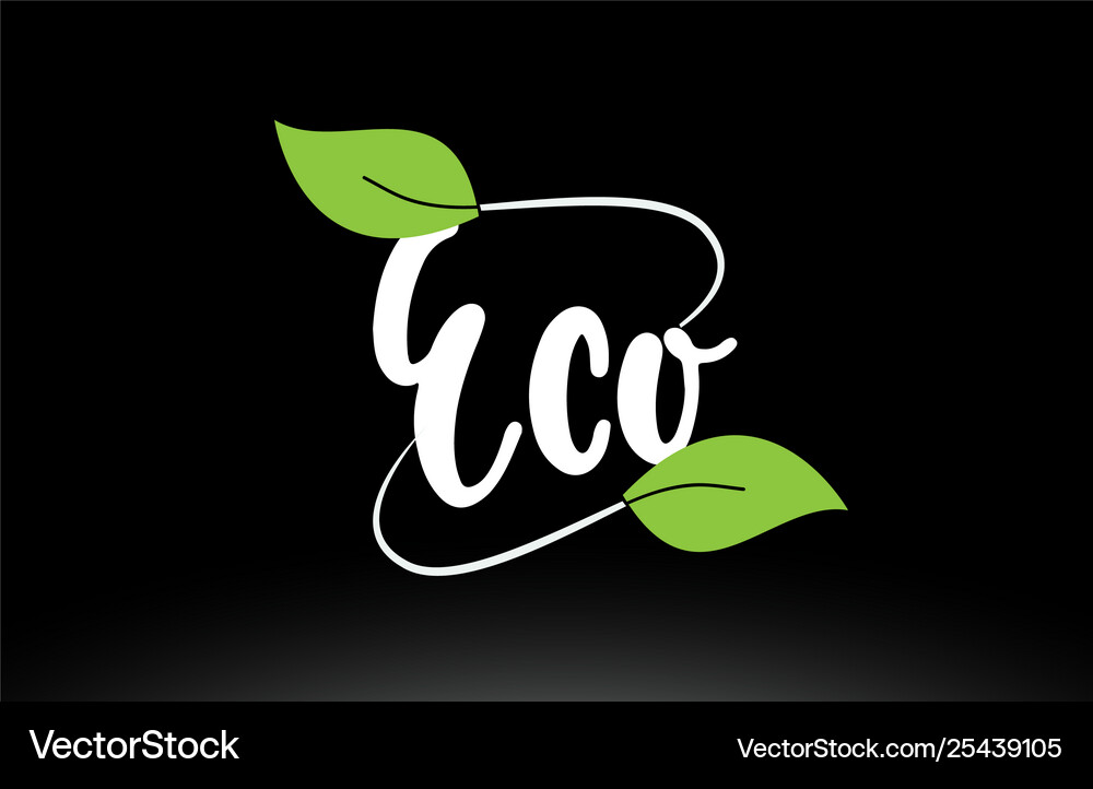 Eco word text with green leaf logo icon design Vector Image