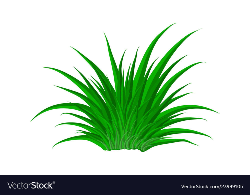 Grass symbol icon design beautiful isolated Vector Image