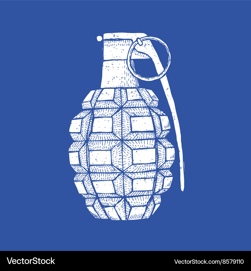 Engraved granade in vintage style Royalty Free Vector Image