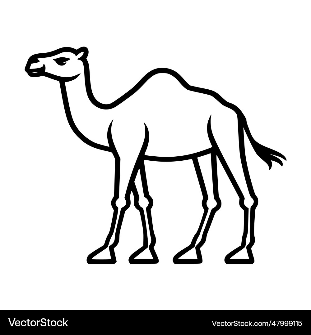 Camel wild animal logo Royalty Free Vector Image