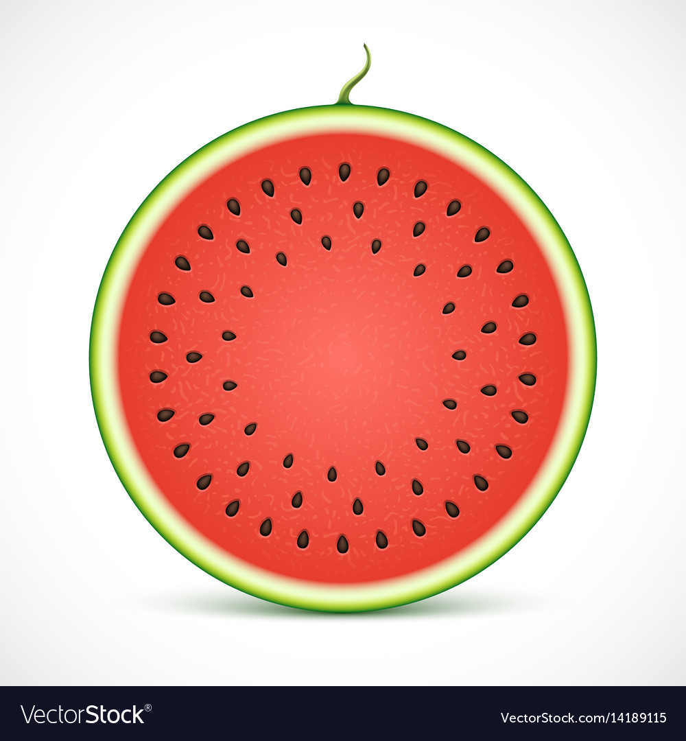 Watermelon texture background with seeds Vector Image Watermelon texture background with seeds Vector Image