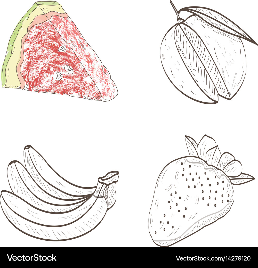 Isolated fruits outlines Royalty Free Vector Image
