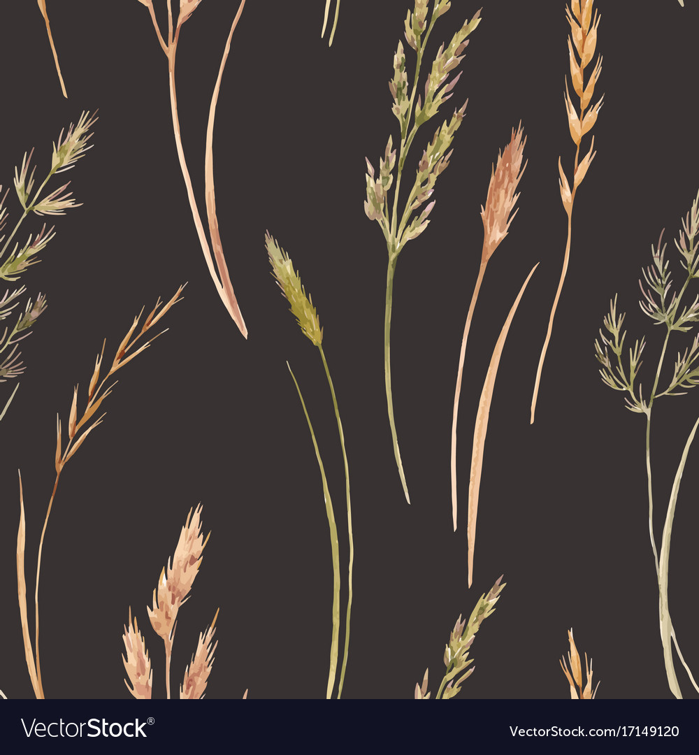 Wild field grass pattern Royalty Free Vector Image