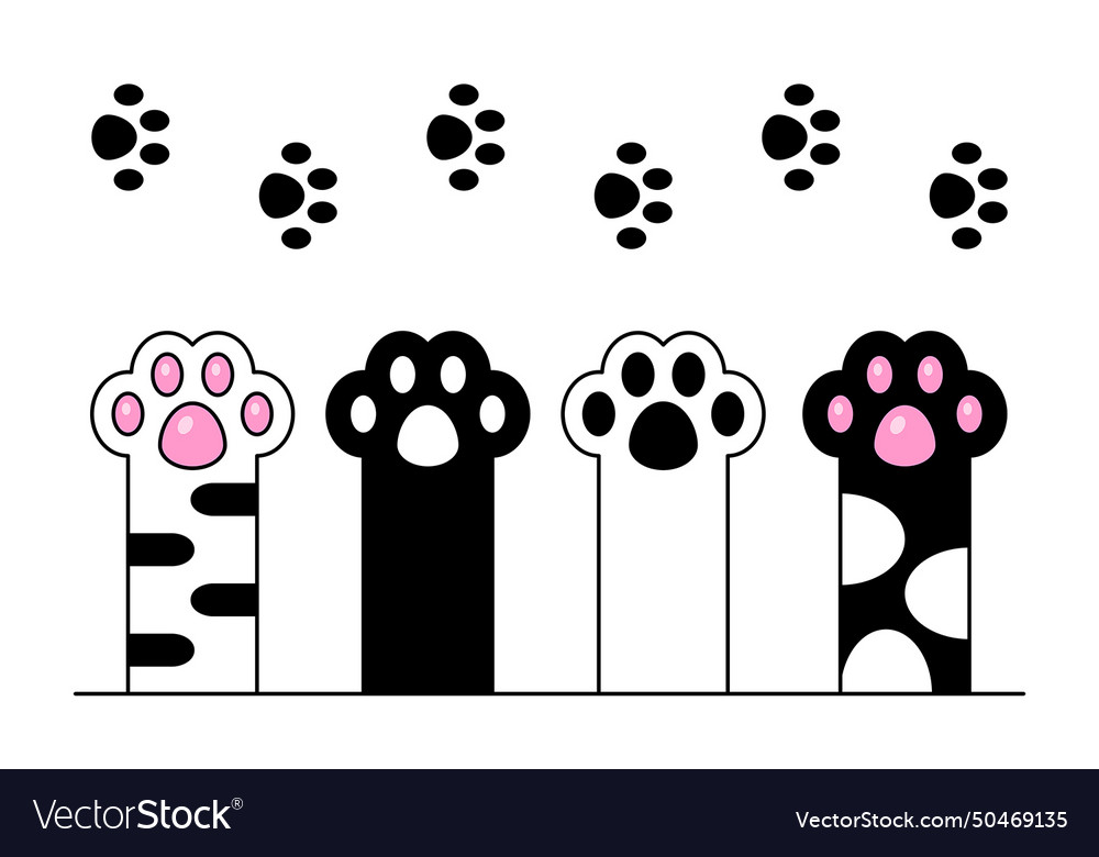 Cat paw Royalty Free Vector Image - VectorStock