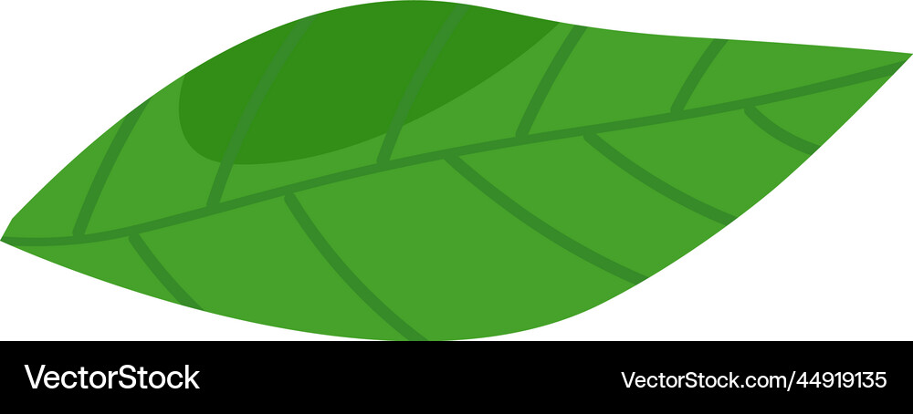Green nature icon natural leaf design concept Vector Image
