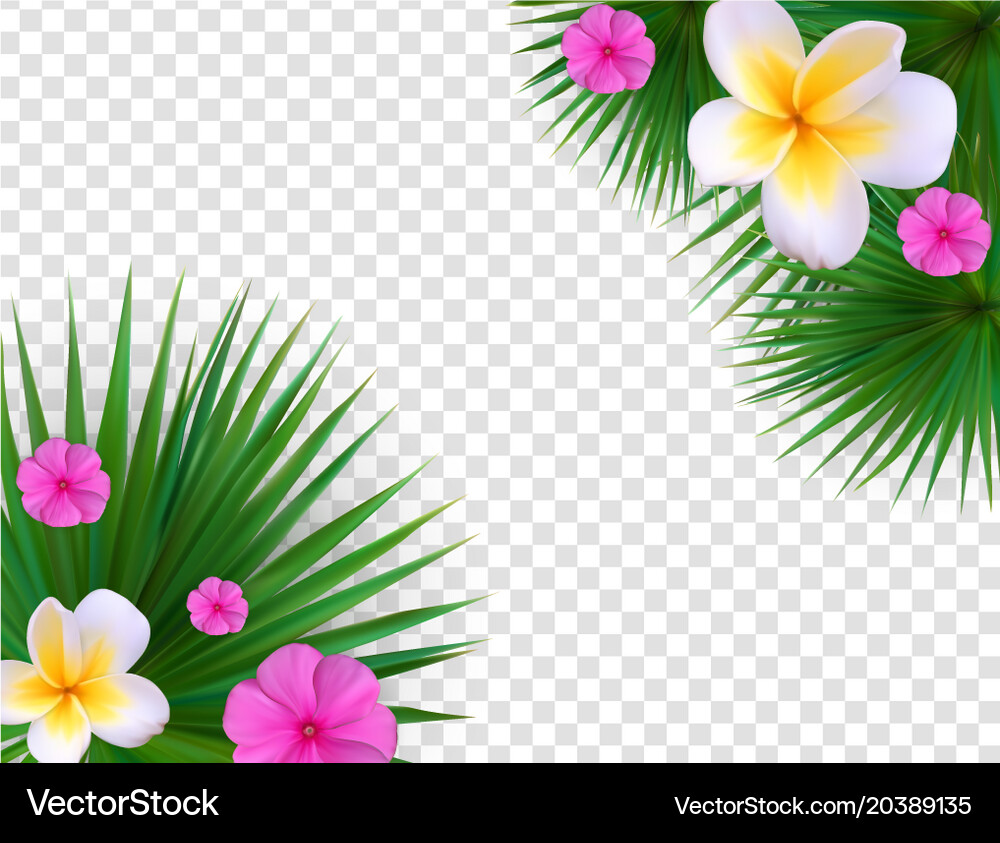 Summer natural floral frame on transparent Vector Image