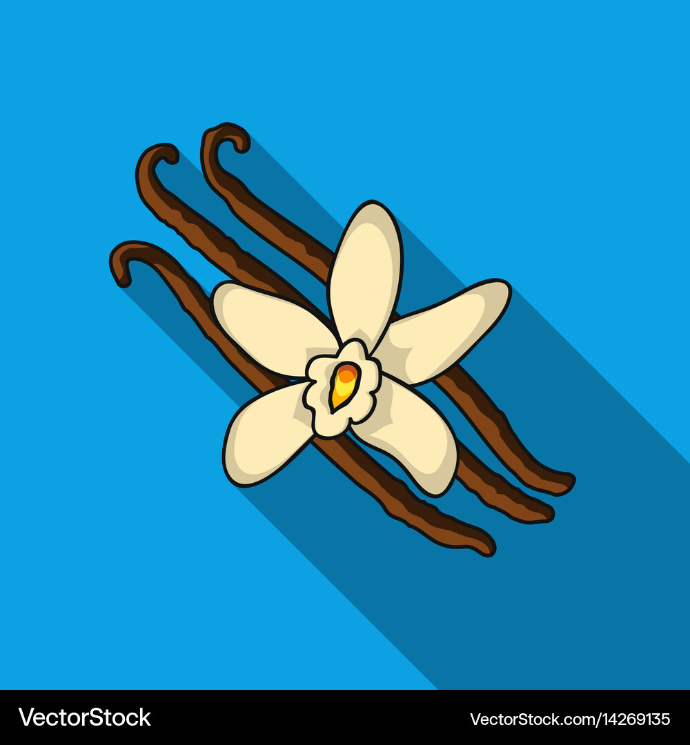 Vanilla icon in flat style isolated on white Vector Image