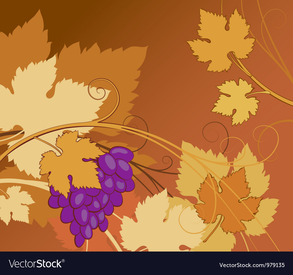 Vine background Royalty Free Vector Image - VectorStock