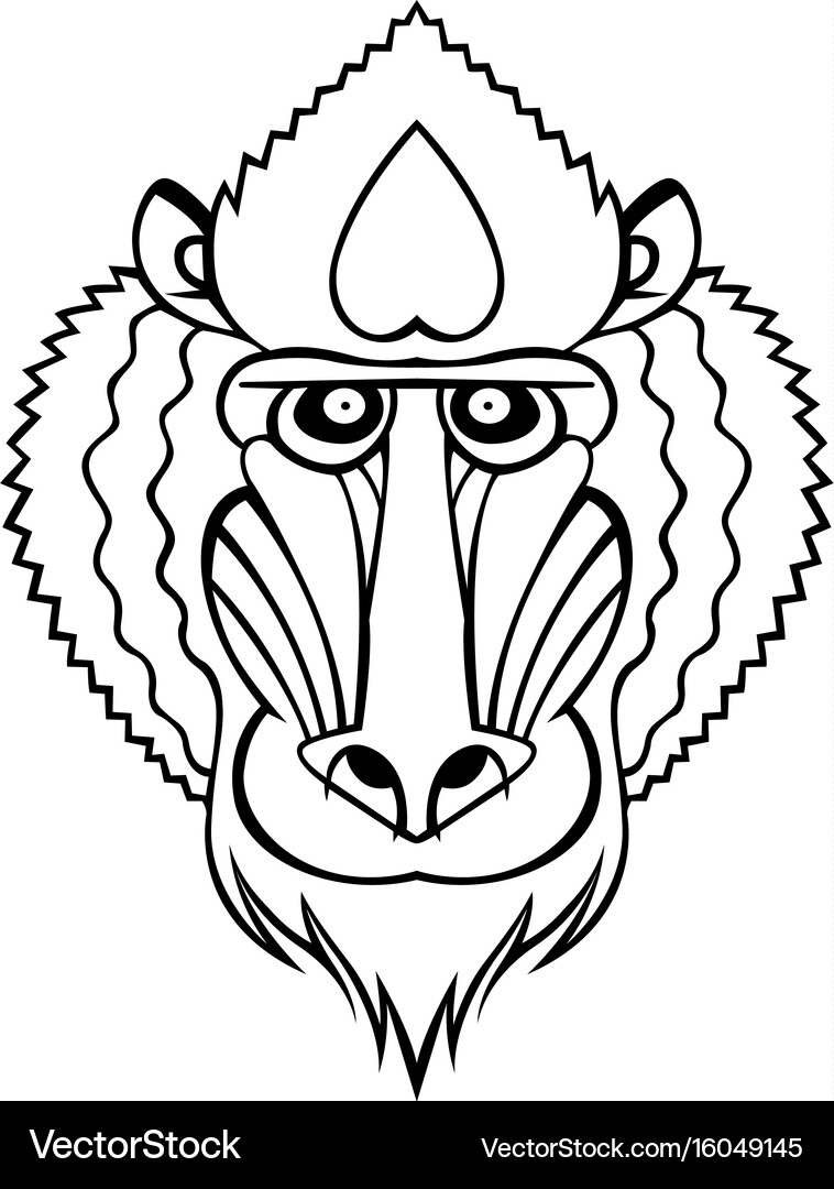 Mandrill head Royalty Free Vector Image - VectorStock