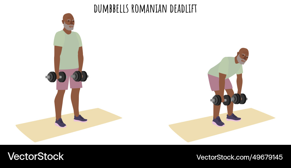 Senior man doing dumbbells romanian deadlift Vector Image