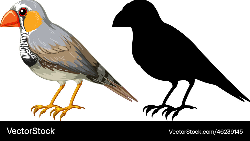 Silhouette of standing bird Royalty Free Vector Image