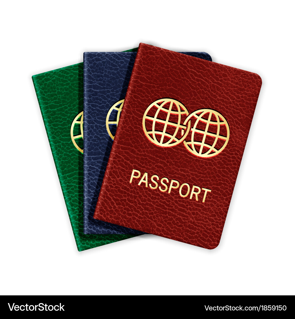 Realistic passport set isolated on white Vector Image