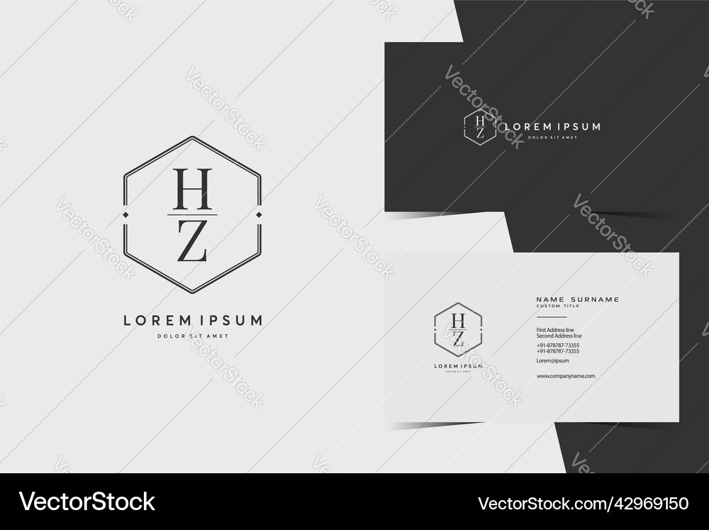 Simple hexagon hz monogram logo icon modern Vector Image