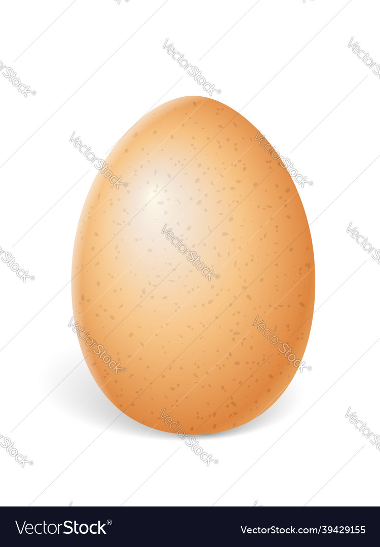 Egg Royalty Free Vector Image - VectorStock