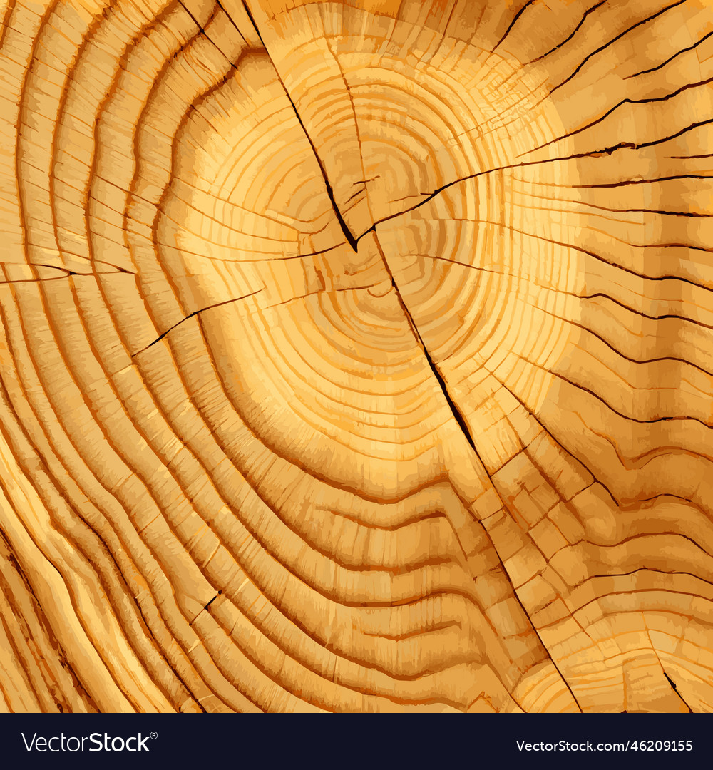 Realistic texture of the tallest green tree Vector Image