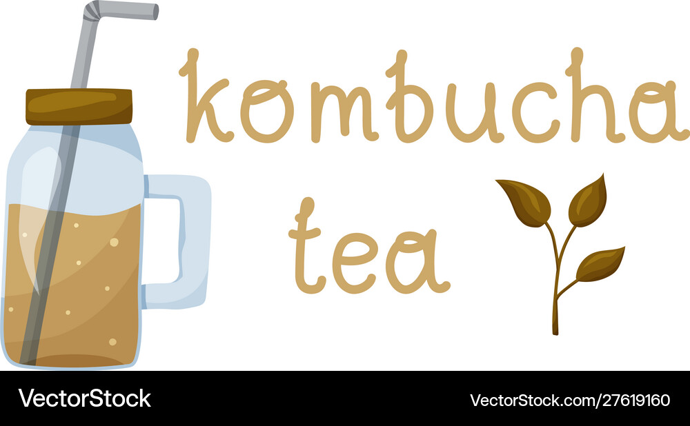 Kombucha tea banner flat hand drawn Royalty Free Vector