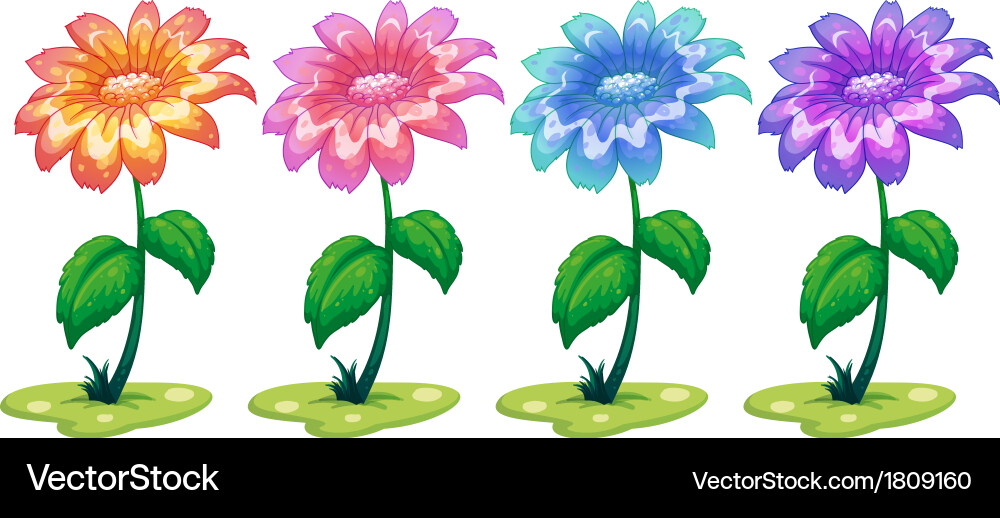 Six colorful flowering plants Royalty Free Vector Image