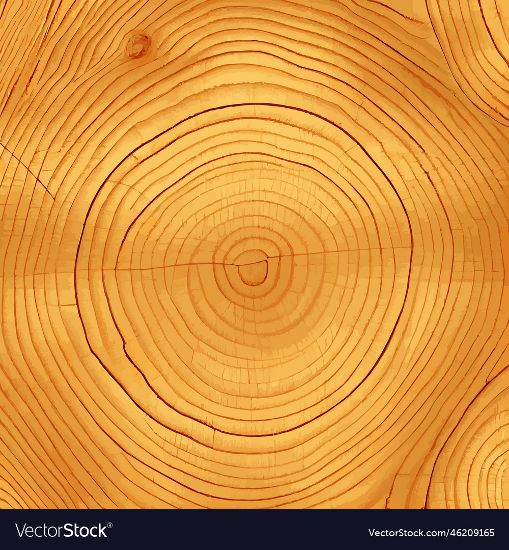 Realistic texture of the tallest green tree Vector Image