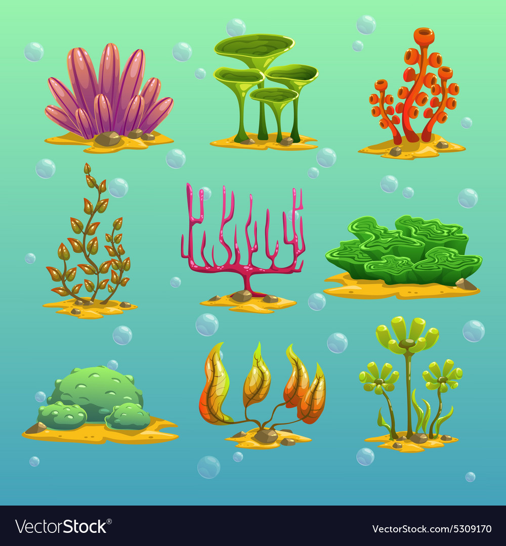 Algae Royalty Free Vector Image - VectorStock