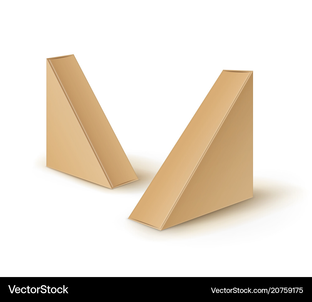 Set of brown blank cardboard triangle take Vector Image