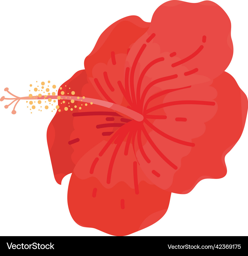 Tropical hibiscus flower icon Royalty Free Vector Image