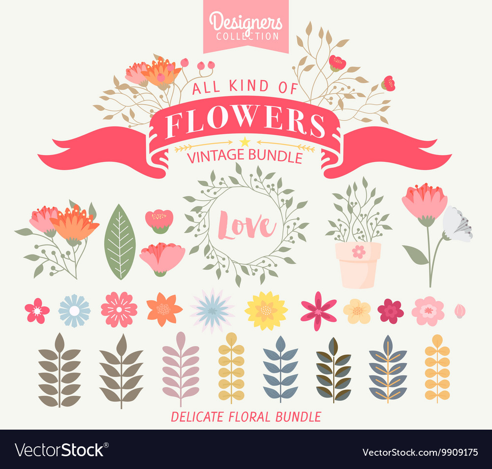 Vintage floral set Royalty Free Vector Image - VectorStock