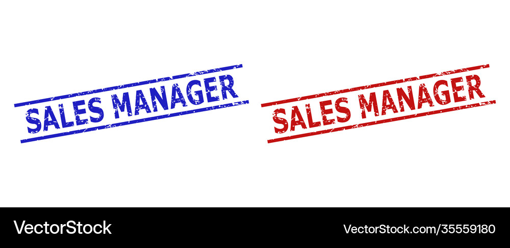Sales manager stamps with scratched surface Vector Image