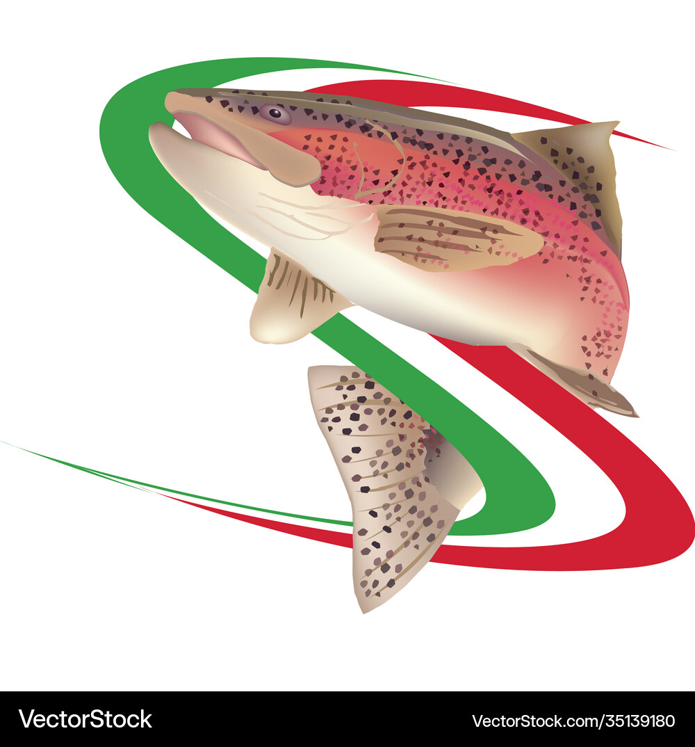 Salmon trout freshwater fish Royalty Free Vector Image