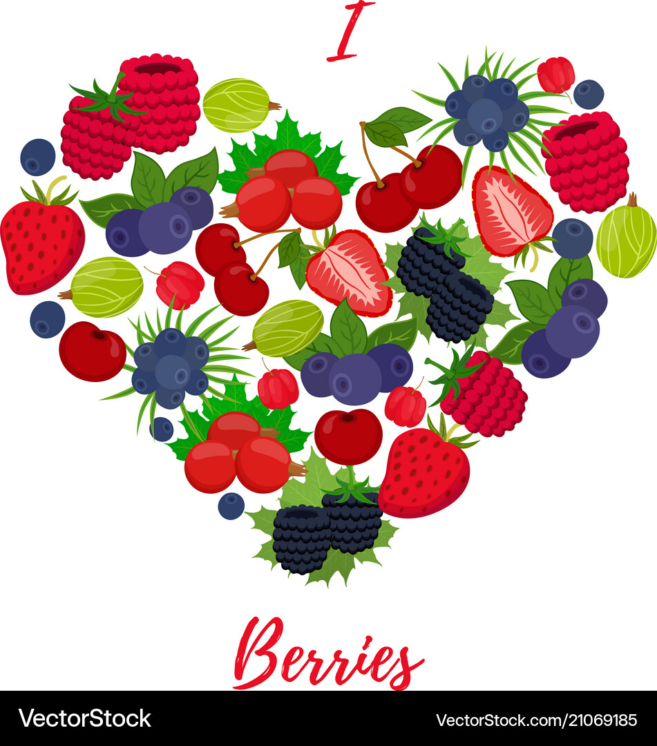 Berries in heart shape cartoon flat style Vector Image