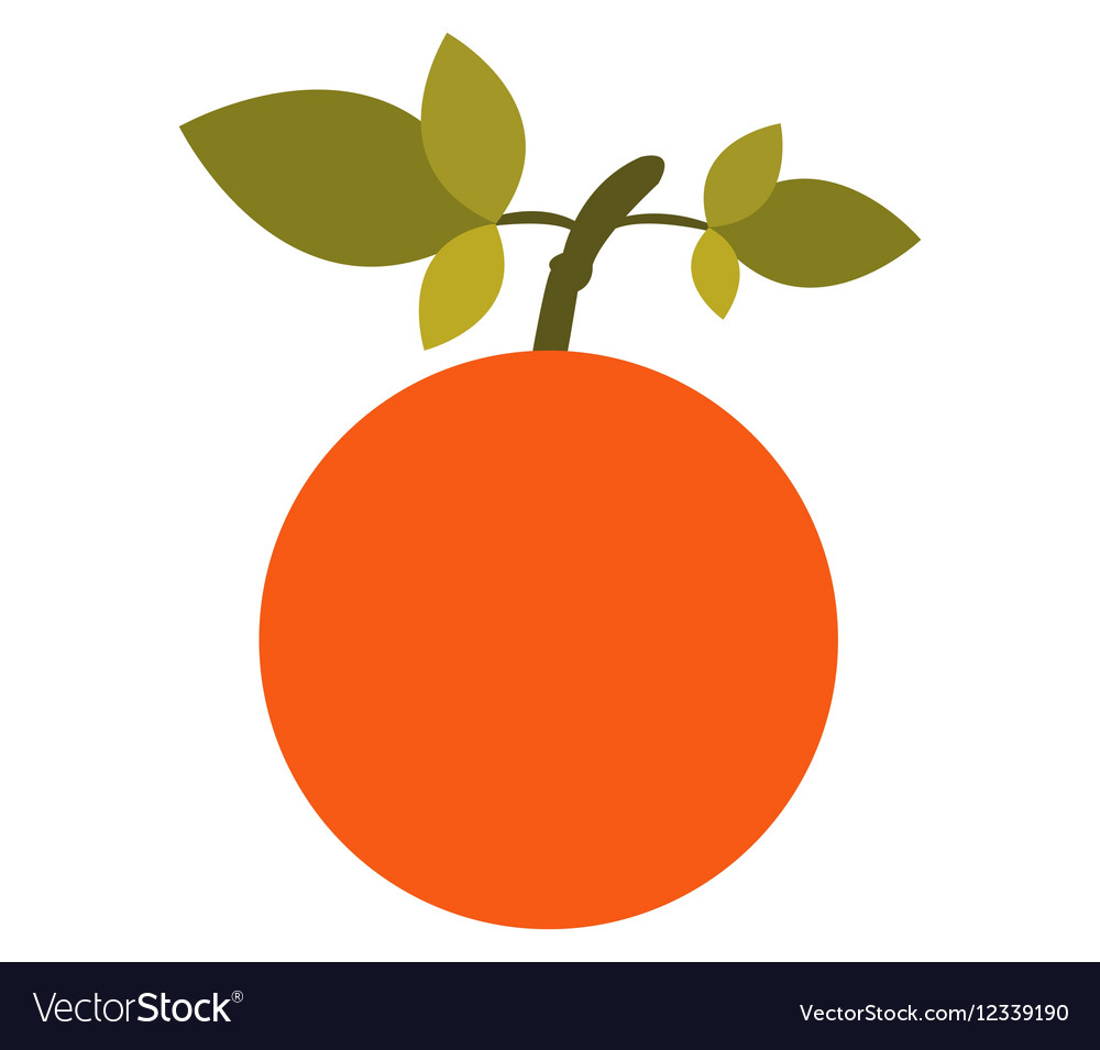 Orange icon Royalty Free Vector Image - VectorStock