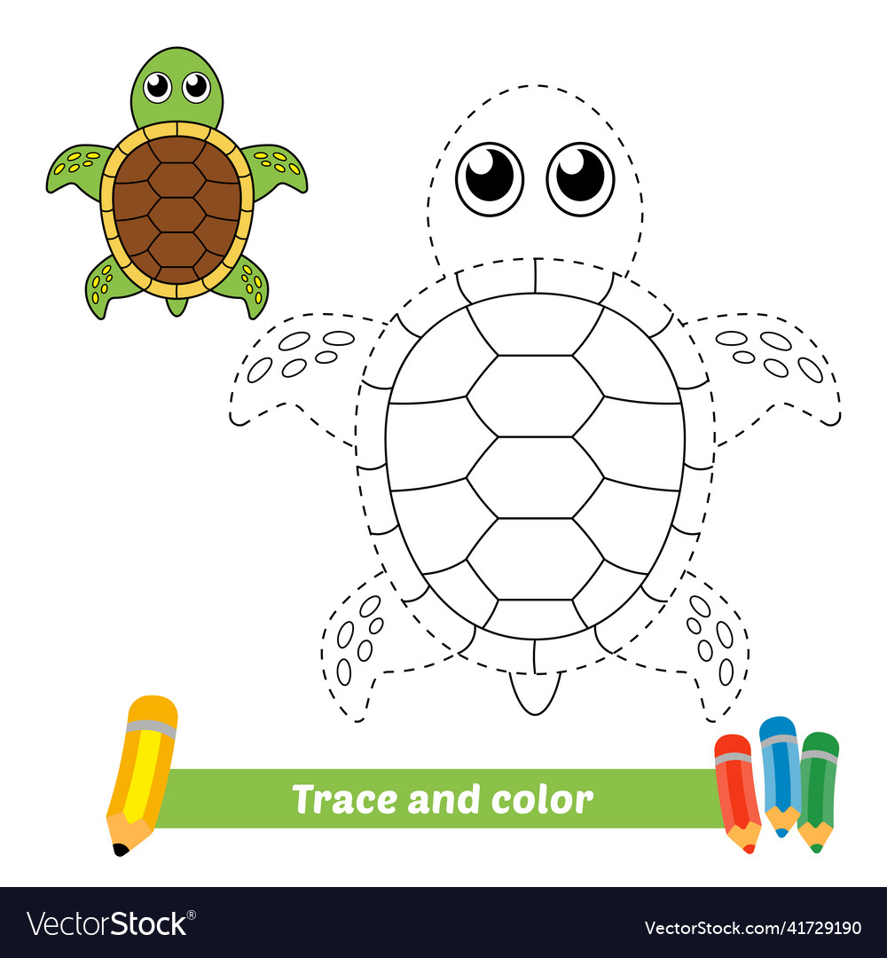 Trace and color for kids turtle Royalty Free Vector Image