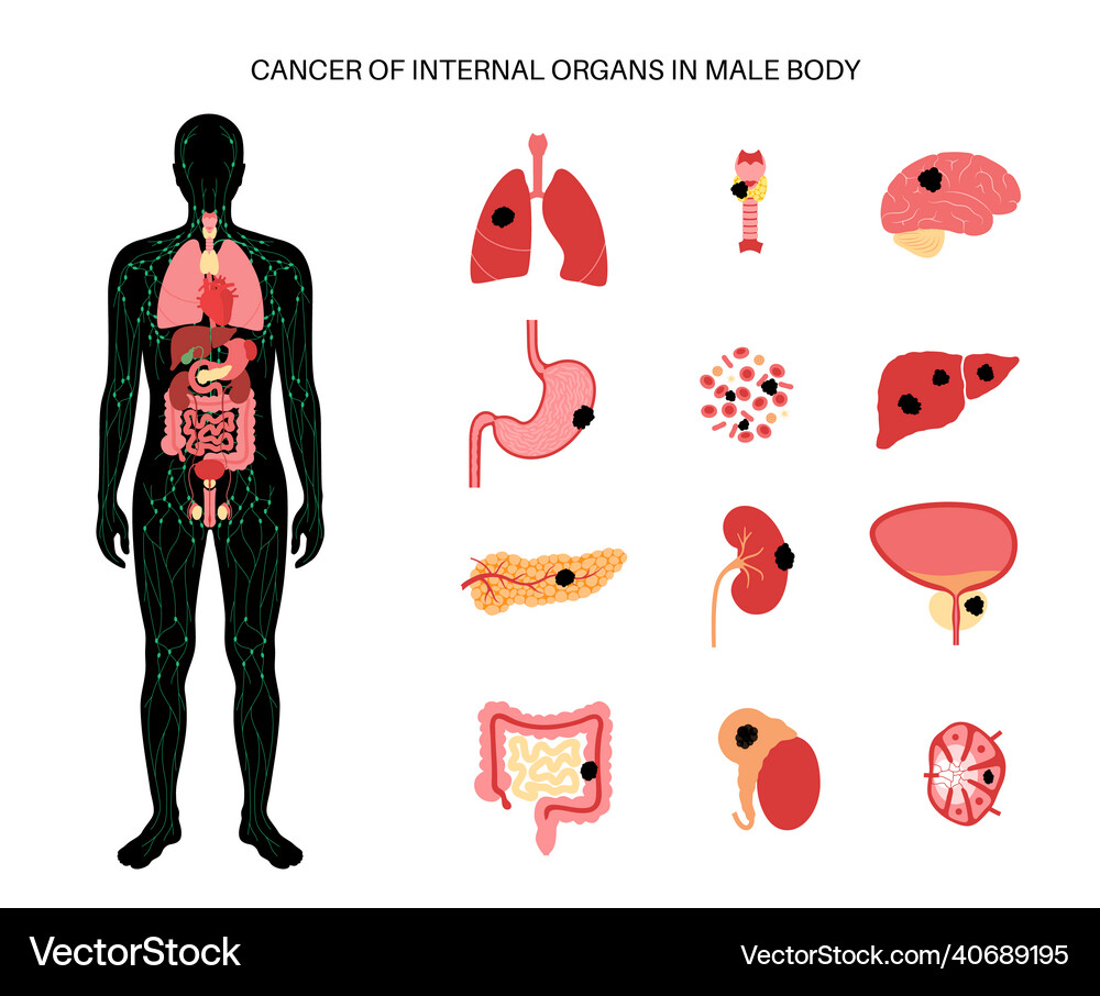 Cancer icons set Royalty Free Vector Image - VectorStock